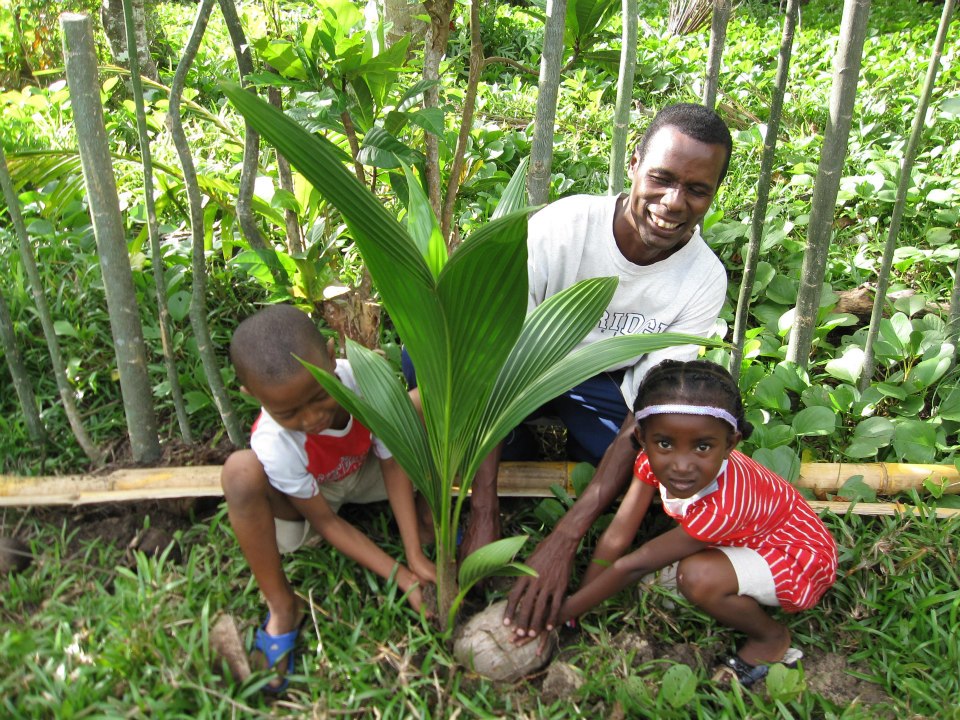 Agroforestry - definition and explanation. What is agroforestry?